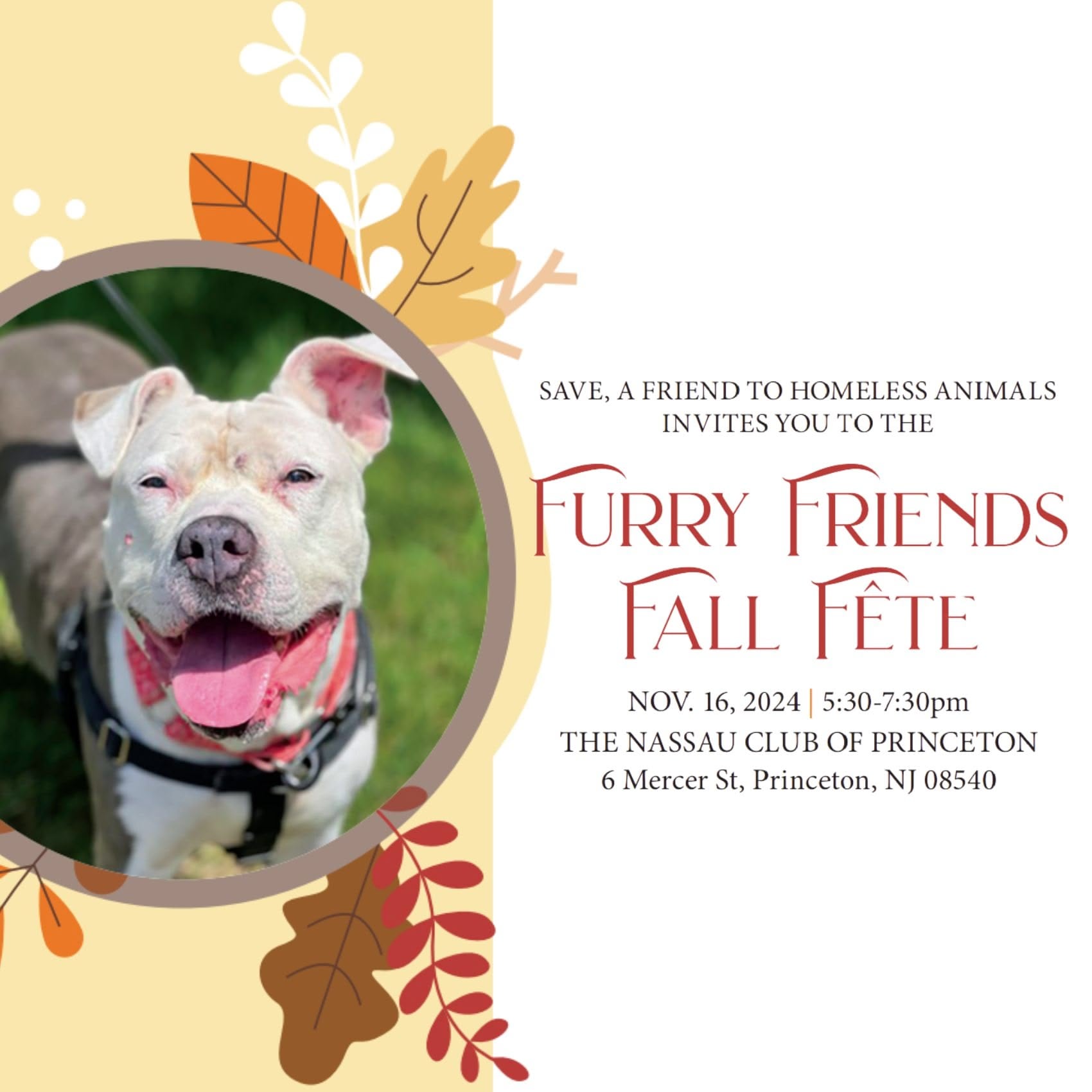Furry Friends Fall Fête | SAVE Animal Shelter